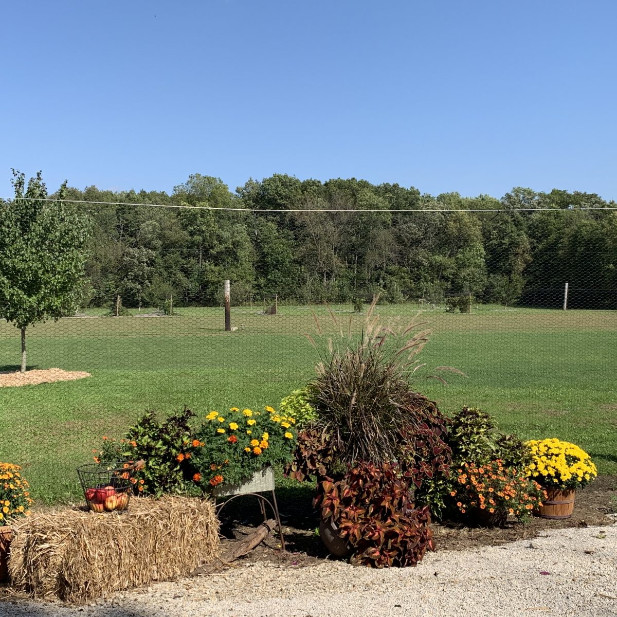 The Journey Begins – Clover Ridge Events