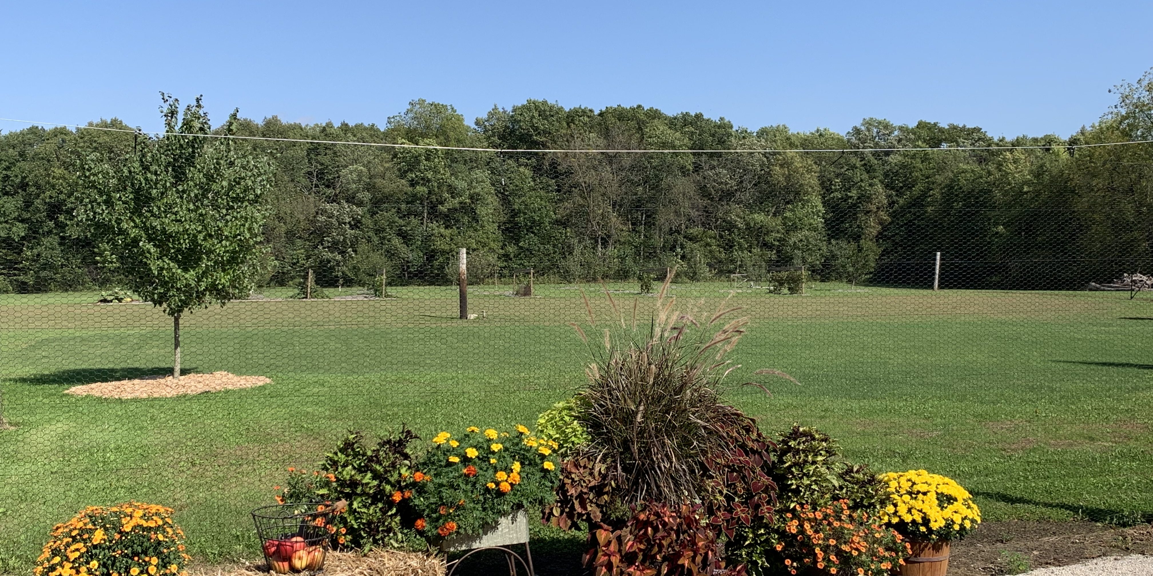 The Journey Begins – Clover Ridge Events